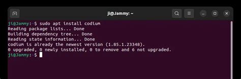 如何在 Ubuntu 中安装 VSCodium IDE 种方法