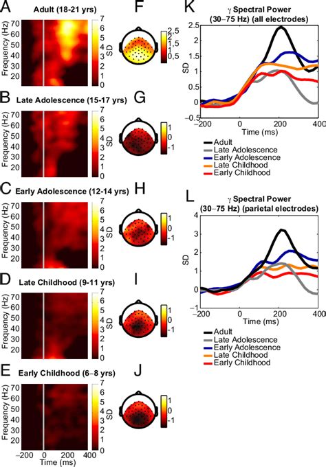 figure 2 from the development of neural synchrony reflects late