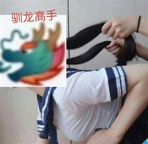 小说小说网站资源 初音社