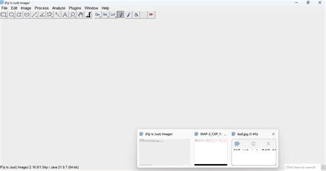 Cant Open Any Image Format In Imagej On Windows After Updating Usage And Issues Imagesc Forum