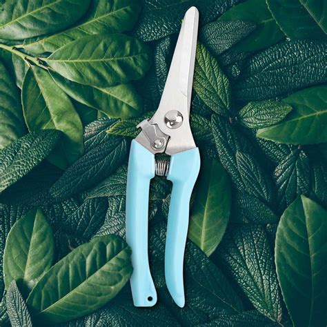 Ohmyroo Multifunction Stainless Steel Tree Pruning Scissors Sharp