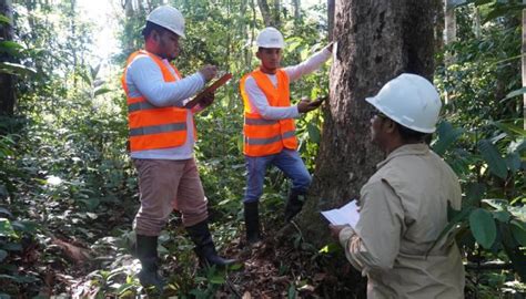 Climatelinks On Linkedin Reducing Tropical Forest Degradation While Improving Carbon Outcomes