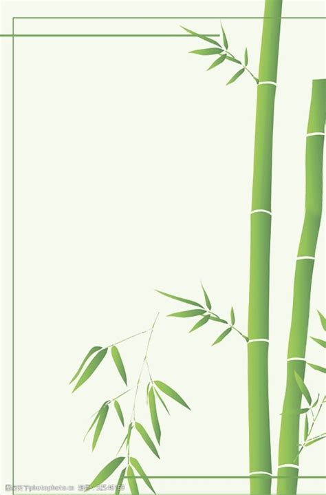 竹子简笔画图片免费下载 竹子简笔画素材 竹子简笔画模板 图行天下素材网