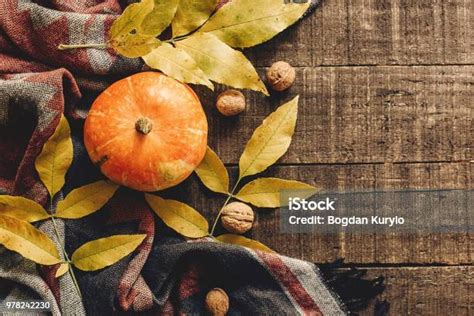 해피 할로윈 또는 추수 감사절 플랫 하다 세련 된 스카프 상위 뷰 텍스트에 대 한 공간에 호두와 잎의 호박 계절 인사가에 휴일이을 수확 시간입니다 아늑한 분위기 가을에 대한