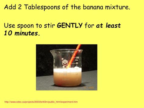 Ppt Banana Dna Extraction Powerpoint Presentation Free Download Id