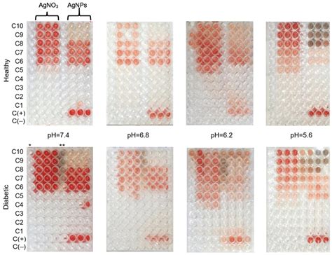 Photograph Of 96 Well Plates Of Hemolyzed Samples With Triplicates For Download Scientific