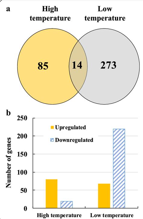 Overview Of Differentially Expressed Genes Identified By RNA Seq A Download Scientific Diagram