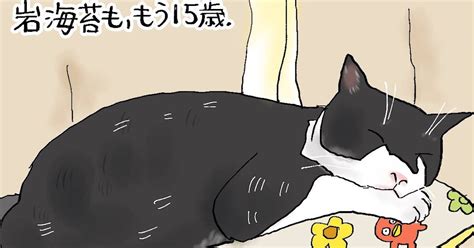 少しずつ子供に戻っていく老猫「岩海苔」 重すぎる愛も、ぜいたくなこととかみしめる 犬・猫との幸せな暮らしのためのペット情報サイト「sippo」