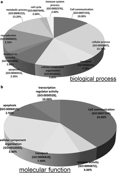 the annotated gene ontology go terms of the identified proteins download scientific diagram