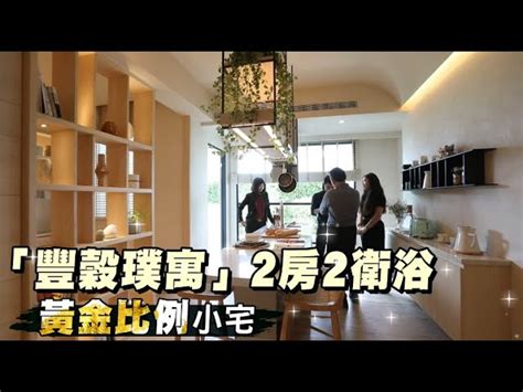 豐穀璞寓豐穀建設完銷建案 台中房地王