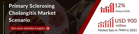 Rich Insights Into Primary Sclerosing Cholangitis Treatment Market