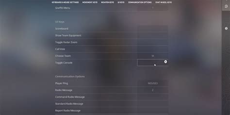Cs2 How To Enable Console