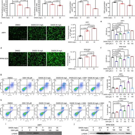 Dads Disrupts Redox Homeostasis In Mm Cells And Gsh Is Effective In Download Scientific
