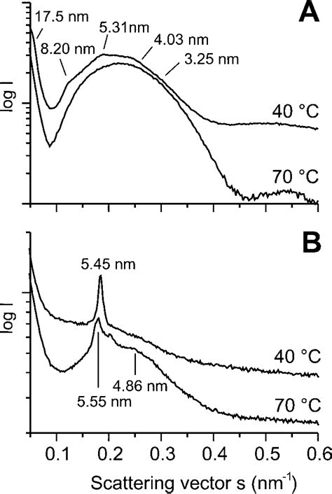 Influence Of Nk 2 On The Supramolecular Structure Of Lipid A