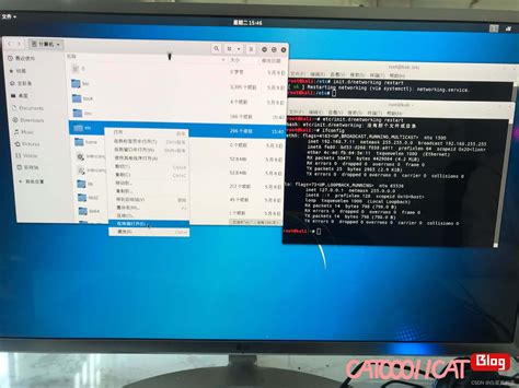 kali linux没有ipv4地址解决方法 kali没有ipv4地址 csdn博客