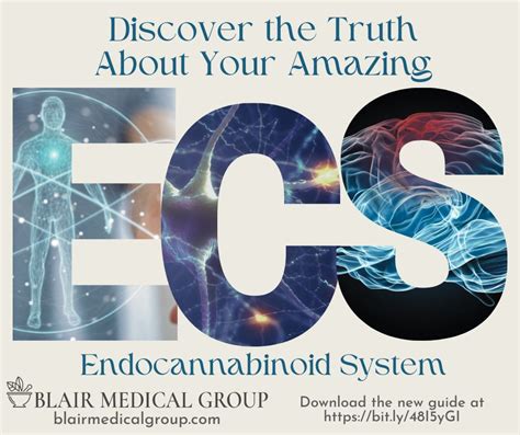 What Is The Endocannabinoid System Ecs Blair Medical Group Posted On The Topic Linkedin