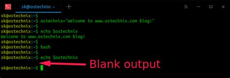 Difference Between Defining Bash Variables With And Without Export