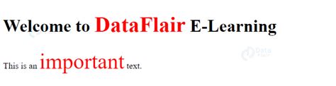 Html Classes Html Class Attribute Dataflair
