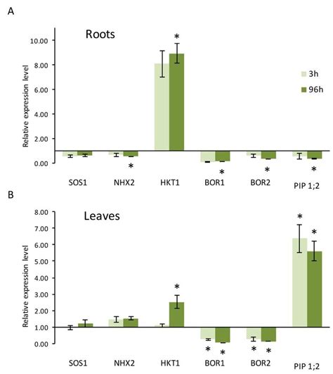 Semi Quantitative Rt Pcr Analysis Of The Expression Of Sos1 Nhx2 Download Scientific Diagram