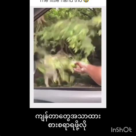 လူကဘာဖြစ်ဖြစ်အစာရဖို့အဓိက အားကစား Football Sports Skills Funny