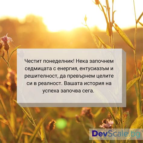 devscale bg posted on linkedin