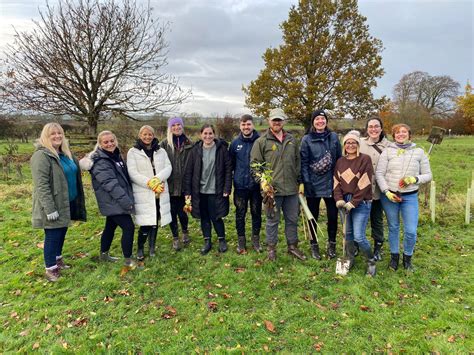 Procurement Reform Nepo