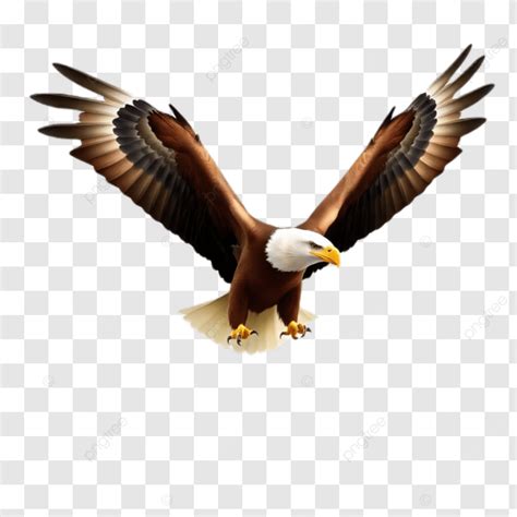 장엄 위엄 대머리 독수리 날개 널리 퍼지다 넓게 퍼지다 높이 치솟다 세부 묘사 세부 묘사 깃털 날카롭다 부리 꿰뚫다 노랑 눈 눈 흰색 하얀색 희다 갈색 머리 갈색 머리 신체