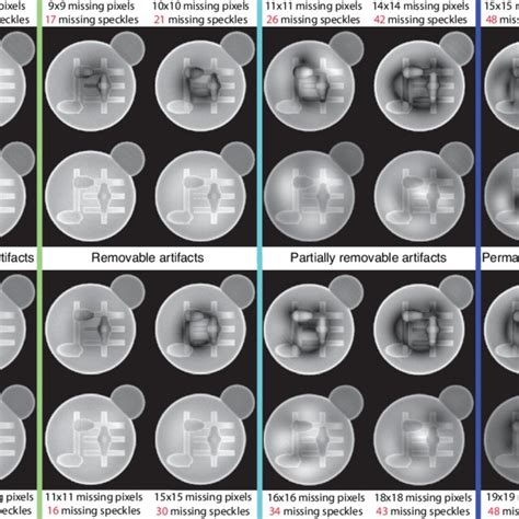 Reconstructed Image Magnitudes With Hio Dm Raar And Er Algorithms