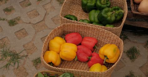 다양한 종류의 야채로 가득 찬 두 개의 바구니 사진 Unsplash의 인도 이미지