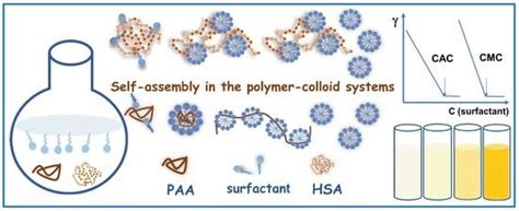 Role Of Polyanions And Surfactant Head Group In The Formation Of