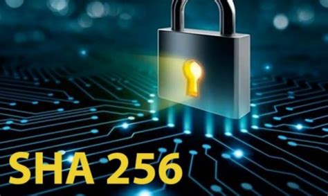 Lista De Criptomonedas Para Minería En El Algoritmo Sha256 Incluido