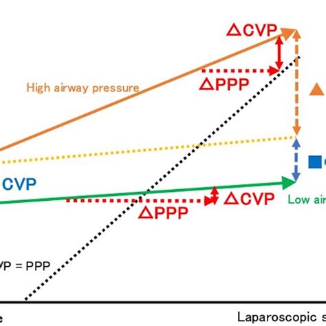 Shows The Relationship Between Central Venous Pressure Cvp Download Scientific Diagram