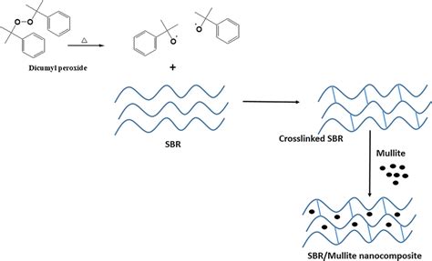 A Proposed Schematic Diagram For The Cross Linking Of Sbr And The Download Scientific Diagram