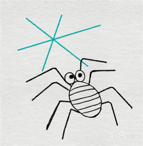 圆网蛛怎么画简笔画 简笔画图片大全 普车都