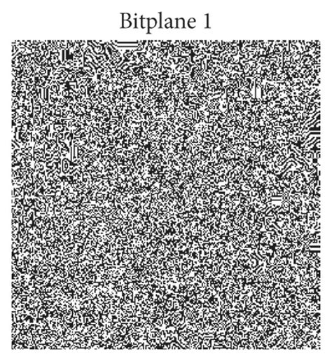 An 8 Bit Grayscale Image With A Size Of 256×256 Pixels Download