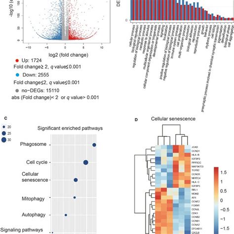 Gene Expression Profile Analysis Of Control‐vascular Progenitor Cells
