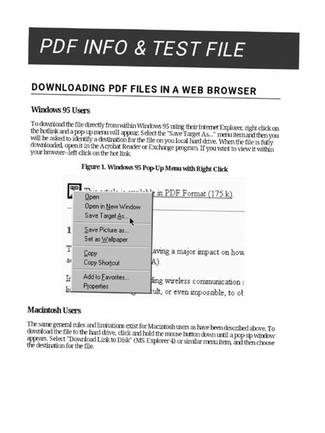 Example Scan Pdf
