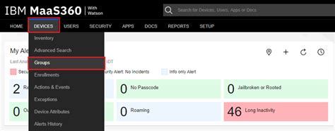 Integration With IBM MaaS