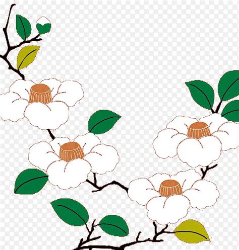 白色手绘茶花PNG图片素材下载 图片编号7899669 PNG素材网