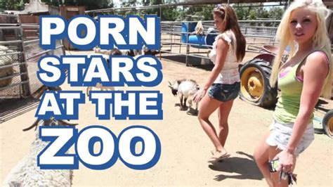 Bangbros Sexy Pornstars Invade Famous Zoo And Fuck Zookeeper