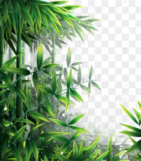 竹林竹子图片 竹林竹子图片素材免费下载 千库网