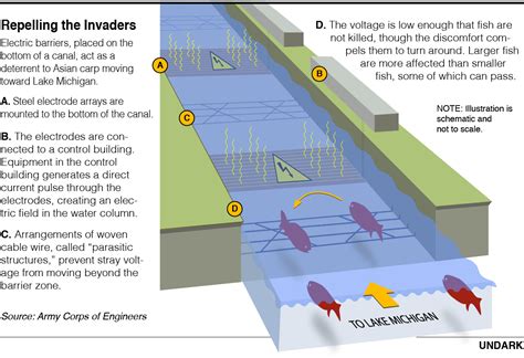 Electric Carp Barrier