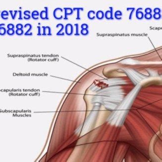 New Revised CPT Code And In Medical Coder Cpt Codes Coding