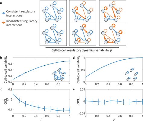 The Effect Of Heterogeneous Regulatory Dynamics On The Cell To Cell Download Scientific Diagram