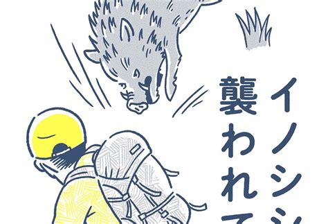 これで死ぬ アウトドアに行く前に知っておきたい危険の事例集 3 イノシシに襲われて死ぬ 死なないためにはどうする マイナビニュース