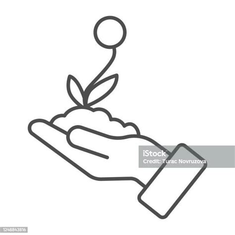 손으로 얇은 선 아이콘에 토양 묘목 자연 개념을 저장 토양에 꽃과 흰색 배경에 손 기호 윤곽 스타일에 자연 인간의 손 아이콘을 돌보는 벡터 그래픽 개발에 대한 스톡 벡터