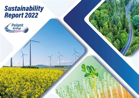 Polynt Group On Linkedin Executive Summary Polynt Group