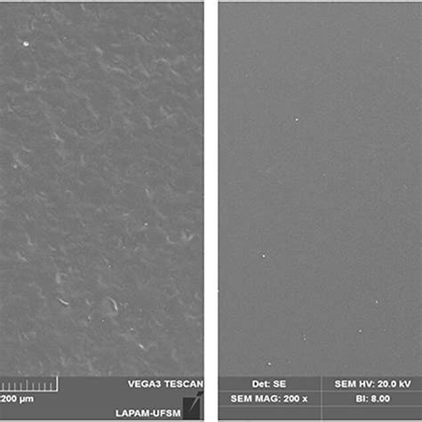 Representative Scanning Electron Microscope Sem Images 200× Download Scientific Diagram