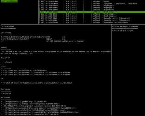 vulnerability scanner that can be used on raspberry pi vuls extremely