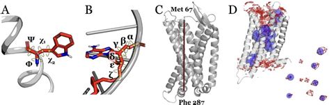Examples For Biomolecular Features Implemented In Pensa A Amino Acid Download Scientific